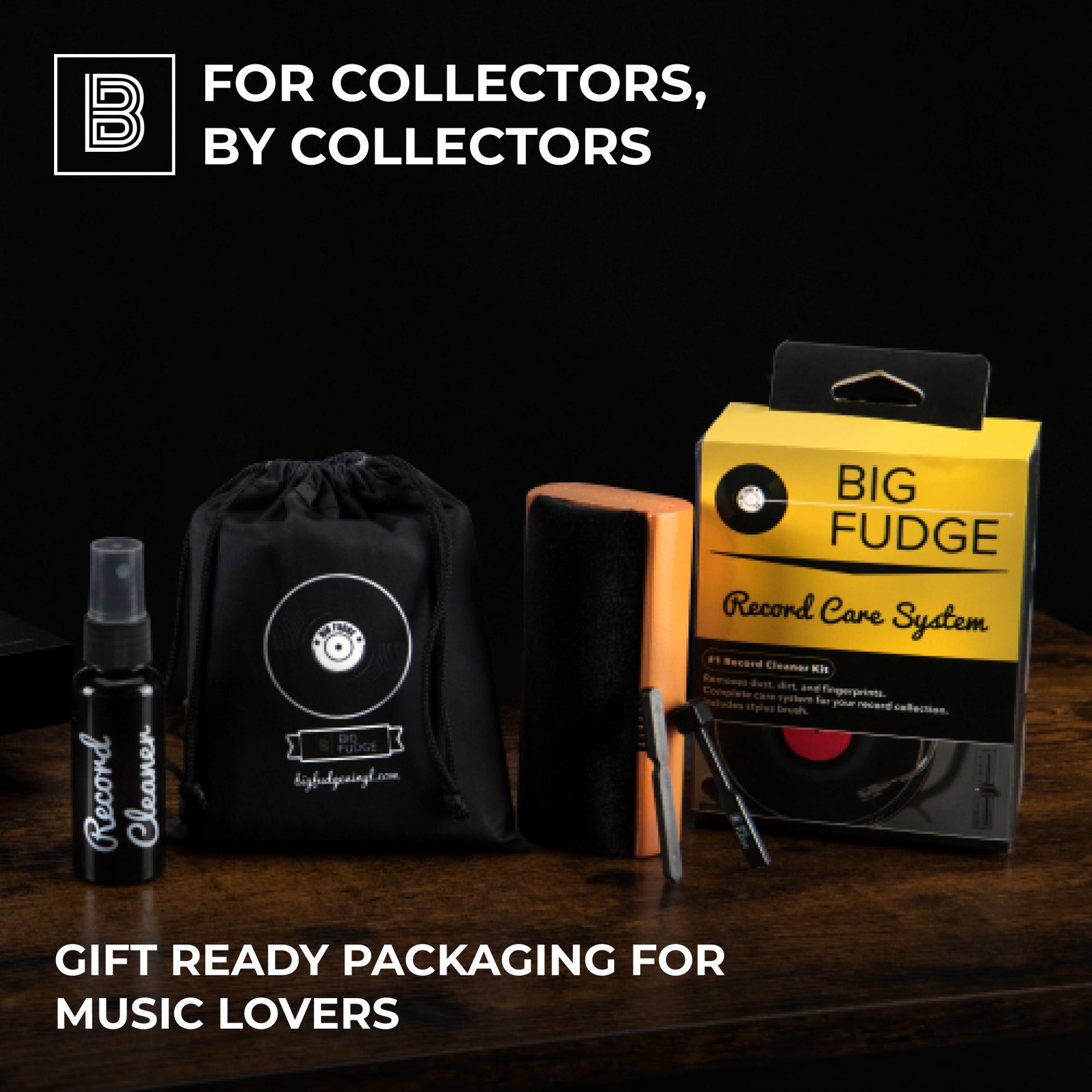 Vinyl Record Cleaning Solution | 4-in-1 Record Care Kit